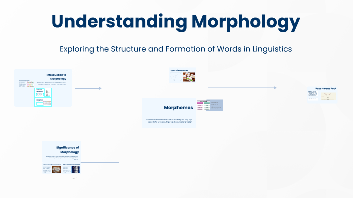 Understanding Morphology by Patricia Bernstein on Prezi