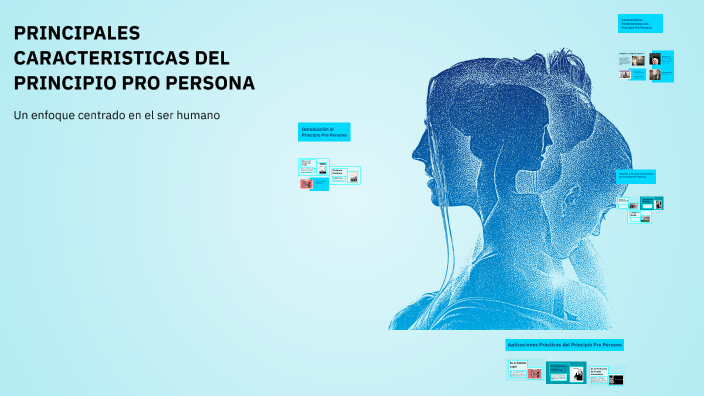 PRINCIPALES CARACTERISTICAS DEL PRINCIPIO PRO PERSONA by ana gabriel ...