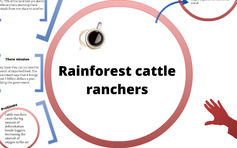 Amazon rainforest cattle ranchers by Christian S on Prezi