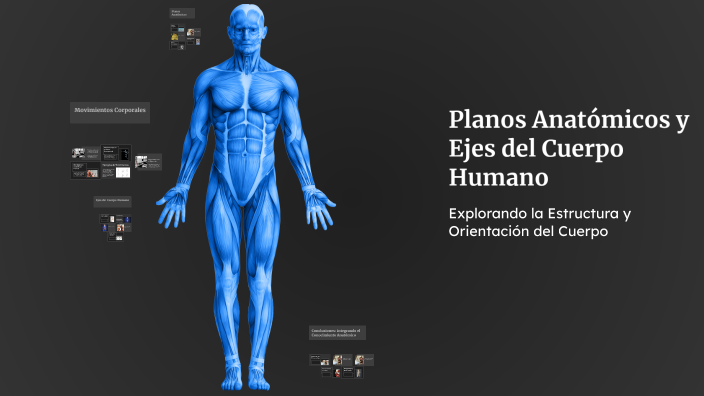 Planos Anatómicos y Ejes del Cuerpo Humano by jenifer liseth on Prezi
