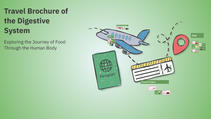 Travel Brochure of the Digestive System by James Fletcher on Prezi