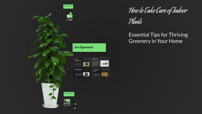 How to Take Care of Indoor Plants by Steffy Joseph on Prezi