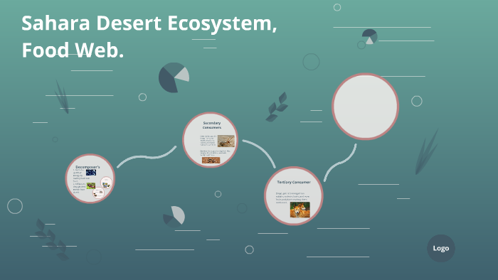 Sahara Desert Ecosystem by Jake Blackburn on Prezi