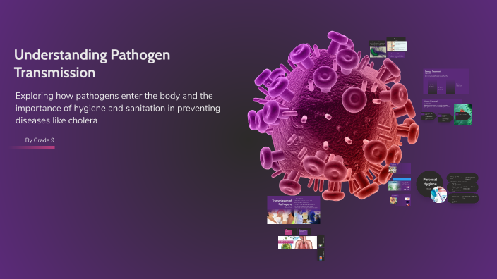 Understanding Pathogen Transmission by Seeds Education on Prezi