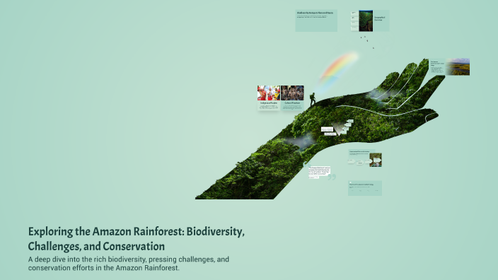 Exploring the Amazon Rainforest: Biodiversity, Challenges, and ...