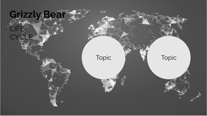 Julian M. Grizzly Bear by Goding Science on Prezi