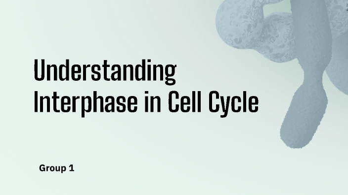 Understanding Interphase in Cell Cycle by Krishna Joyce Enas on Prezi