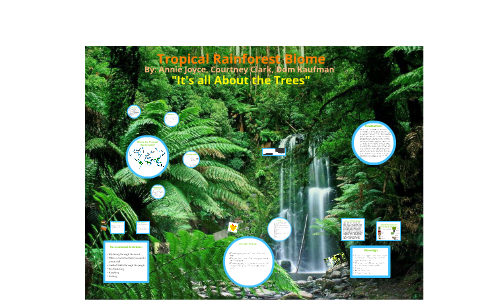 Tropical Rain Forest Biome Project by Annie Joyce
