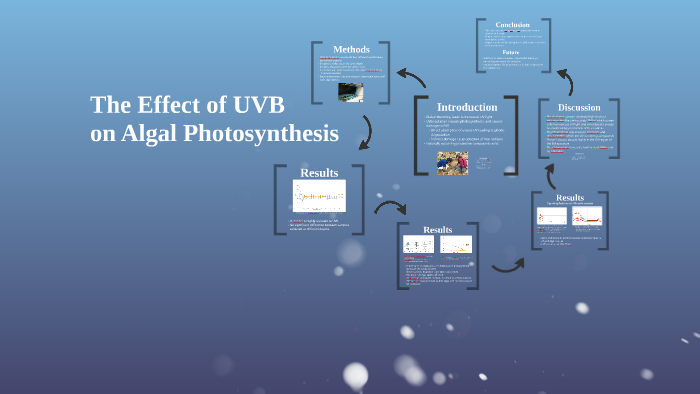 Photosynthesis of Algae by Yuki AG on Prezi