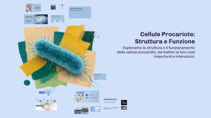 Cellule Procariote: Struttura e Funzione by federico juc on Prezi