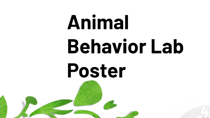 Animal Behavior Lab Poster by miranda sale on Prezi