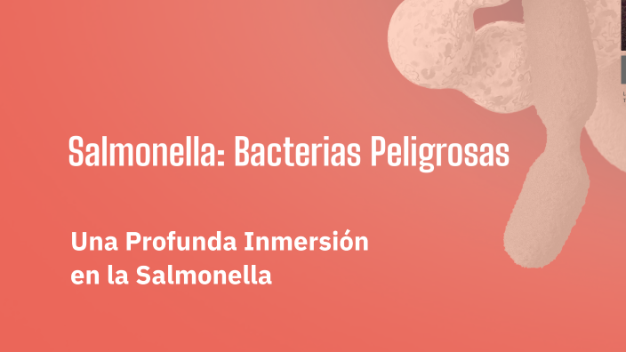 Salmonella: Bacterias Peligrosas by Deborah Orellana on Prezi