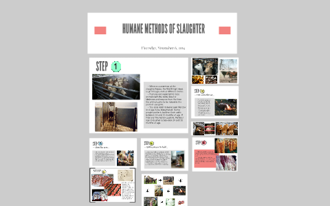 STEPS ON SLAUGHTERING by Danielle Nunn on Prezi