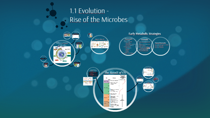 1.1 Evolution - Rise of the Microbes by Mark Pilgrim on Prezi