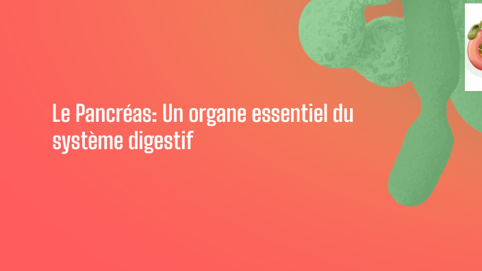 Le Pancréas: Un organe essentiel du système digestif by Herve Ahoussi ...