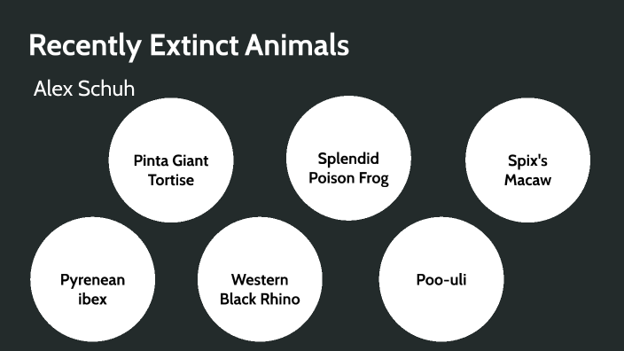 Extinct Animals Prezi by Alex Schuh on Prezi