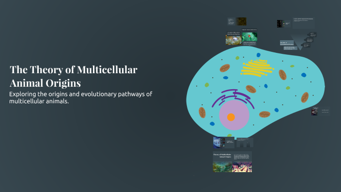 The Theory of Multicellular Animal Origins by Баха Усанов on Prezi