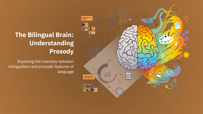 The Bilingual Brain: Understanding Prosody by Fathima Anis on Prezi