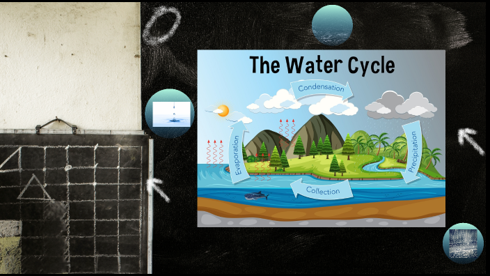 Water Cycle by Sol Luján on Prezi