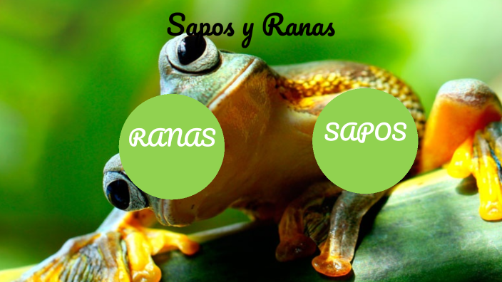 sapos y ranas by danna reyes chinga on Prezi