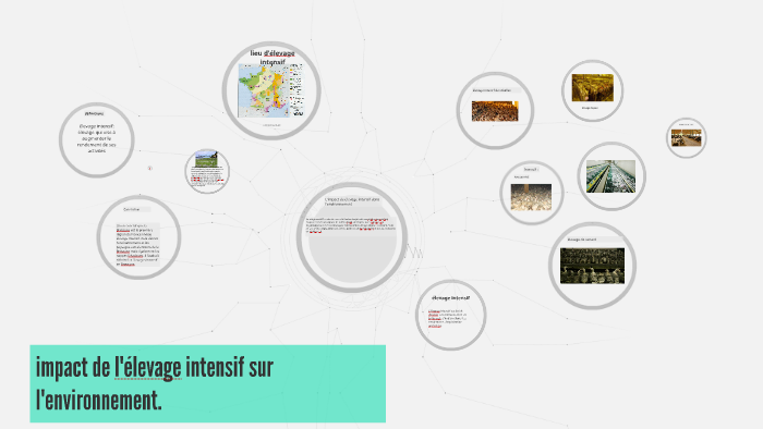 impact de l'élevage intensif sur l'environnement. by allan.florian ...