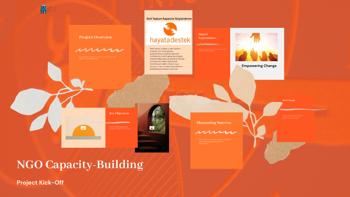 NGO Capacity-Building Project by duygu yılmaz on Prezi