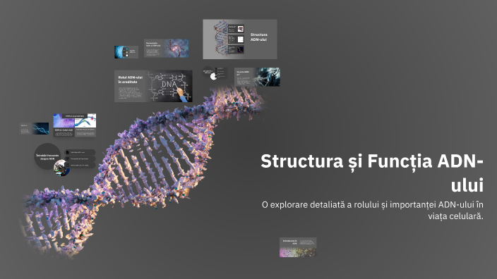 Structura și Funcția ADN-ului by Sandu Lenuța on Prezi