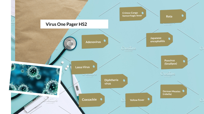 Virus One-Pager by Taylor Freres on Prezi