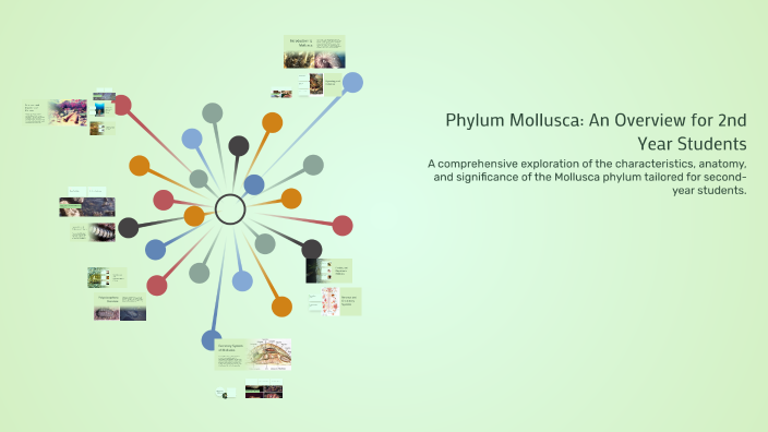 Phylum Mollusca: An Overview for 2nd Year Students by mai lotfy on Prezi