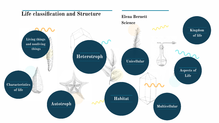 Life classification and Structure by Julieta Arango on Prezi