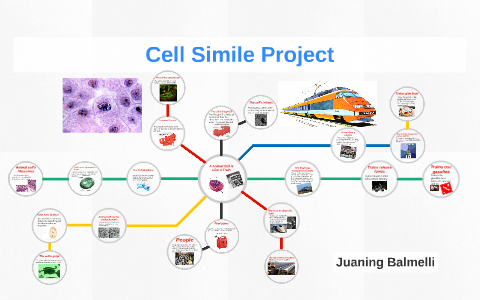 Cell Simile Project by Juaning Balmelli on Prezi