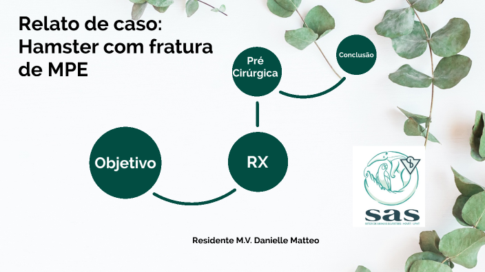 Hamster com fratura - estudo de caso by Danielle A. M. Matteo on Prezi
