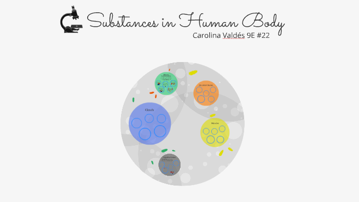 Substances in Human Body by Carolina Valdes on Prezi