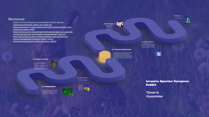 Invasive Species: European Rabbit by Anden Gallegos on Prezi