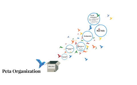 Peta Organization by Suphattra Tidkhiang on Prezi