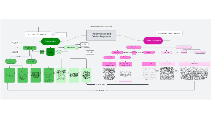 P & CR Interactive Concept Map by Lucas Brown on Prezi