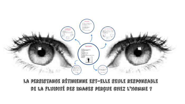 La persistance rétinienne est-elle seule responsable de la f by Lilou ...