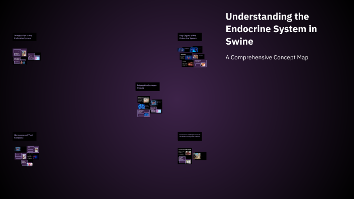 Understanding the Endocrine System in Swine by Colt Harden on Prezi
