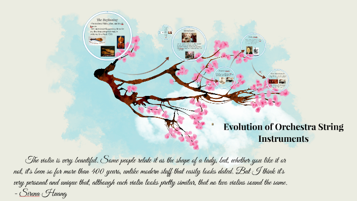 Evolution of Orchestra String Instruments by