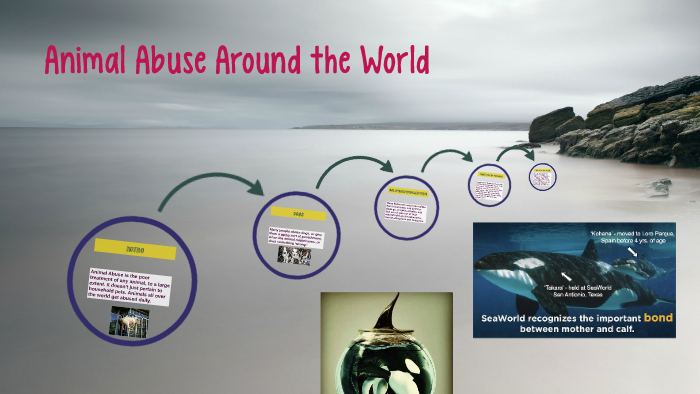 Animal Abuse Around the World by Shannon MacCormick on Prezi