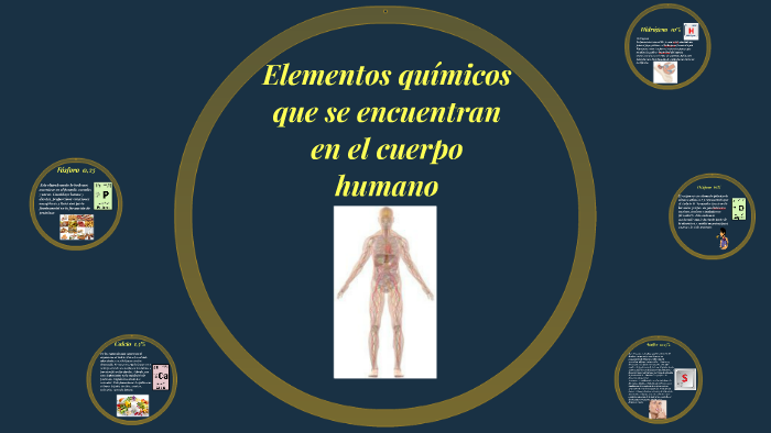 elementos quimicos que se encuentran en el cuerpo humano by Champagnat ...