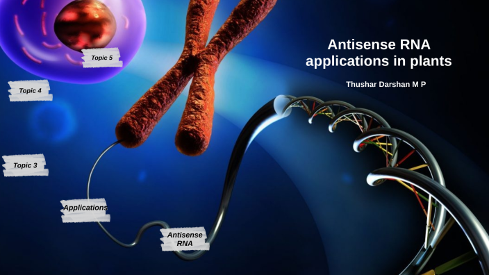 anti sense rna by thushar gowda on Prezi