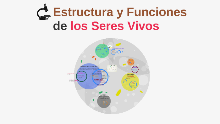 Estructura y Funciones de los Seres Vivos by Jd Lopz on Prezi