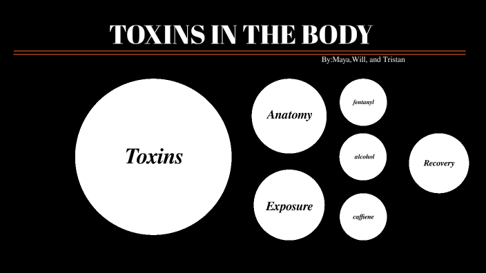 toxins in the human body by Maya Chavez on Prezi