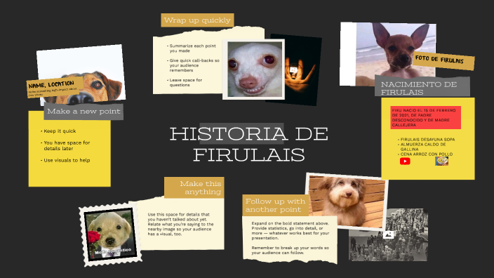 Historia de Firulais by Treysi Carlita Vergara Roque on Prezi