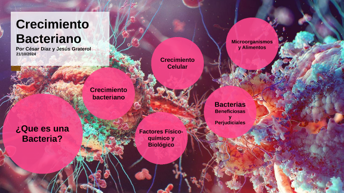 Crecimiento Bacteriano Por César Díaz y Jesús Graterol by Cesar Díaz on ...