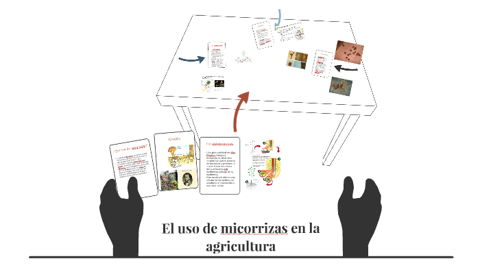 El uso de micorrizas en la agricultura by Ricardo Rodriguez on Prezi