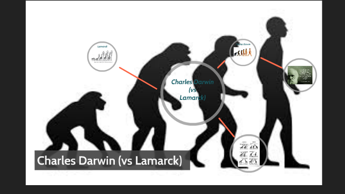 Charles Darwin (vs Lamarck) by Fabio Reimann on Prezi