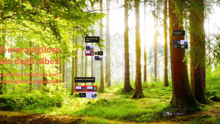 Il meraviglioso mondo degli alberi by Maria Grazia Muscarella on Prezi