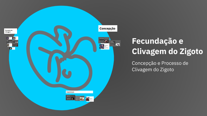 Fecundação e Clivagem do Zigoto by LEONARDO HUNHOFF on Prezi